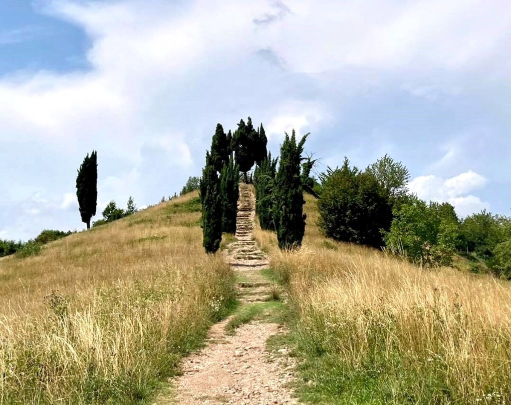 Il Parco di Montevecchia e della Valle del Curone - L'Altra Milano